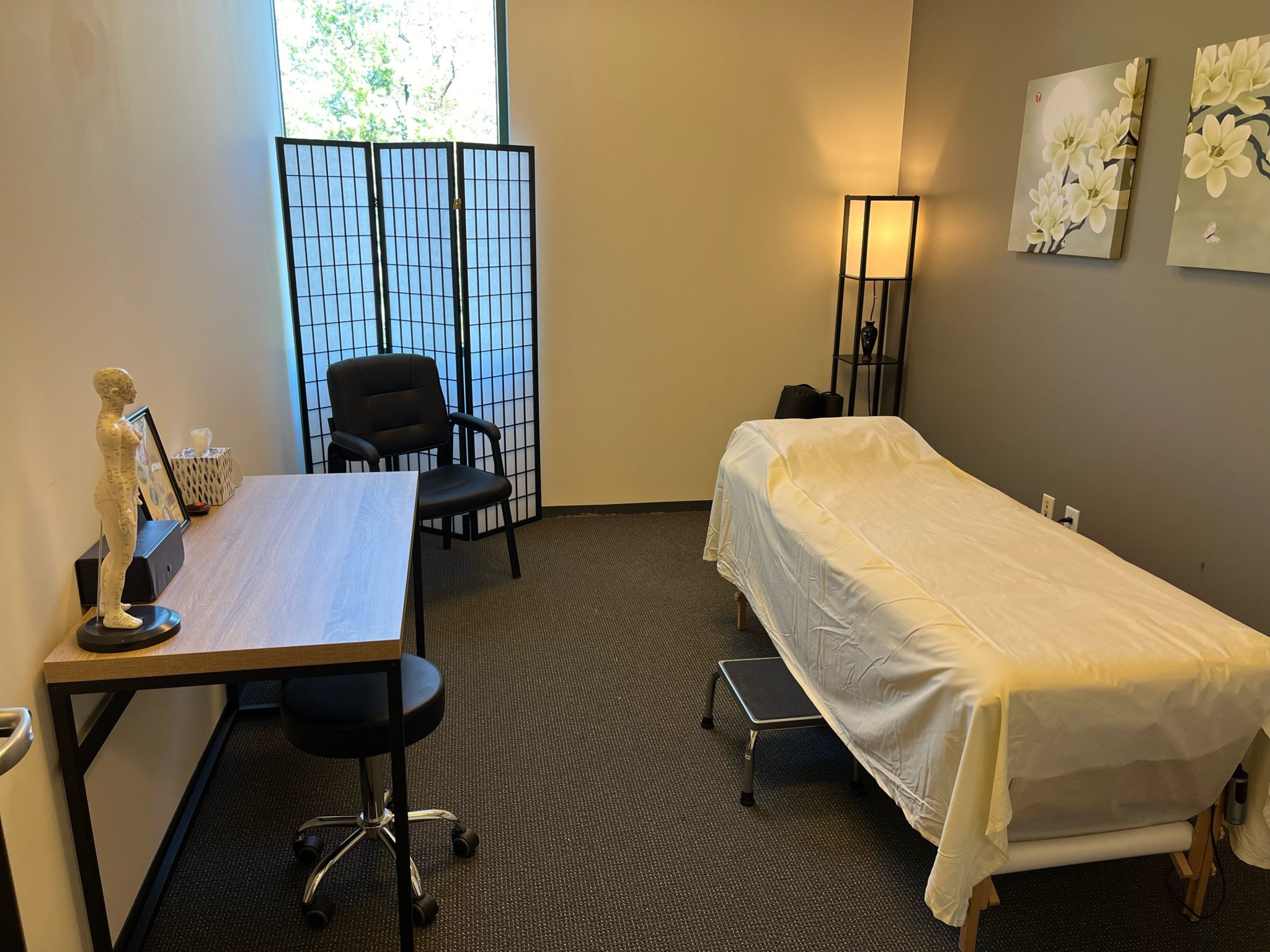 Acupuncture Services - Virginia Acupuncture Center
